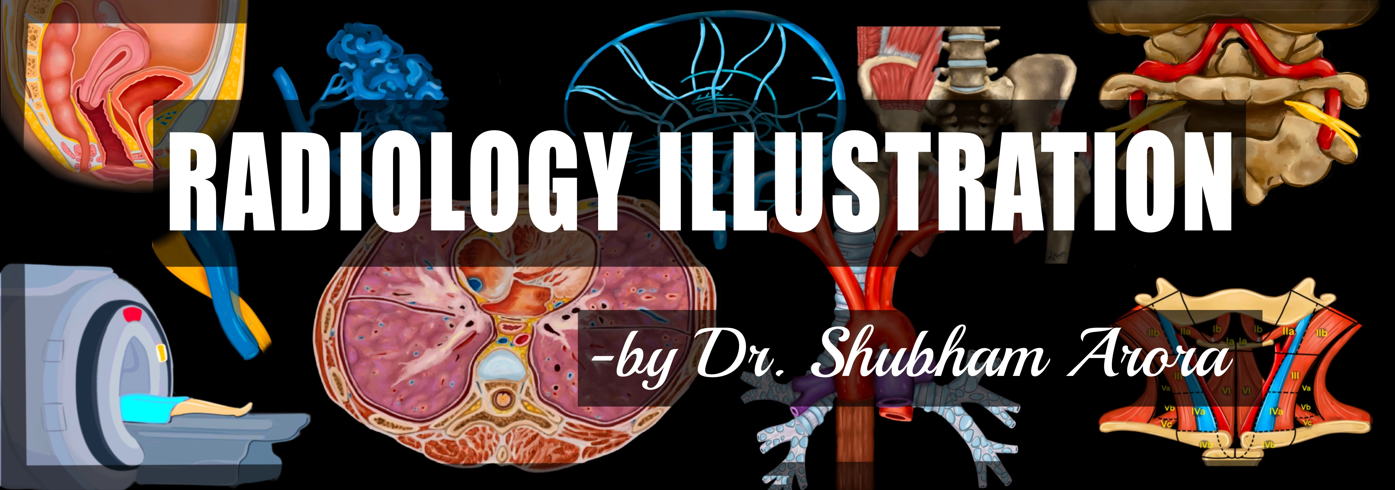 Radiology Illustration