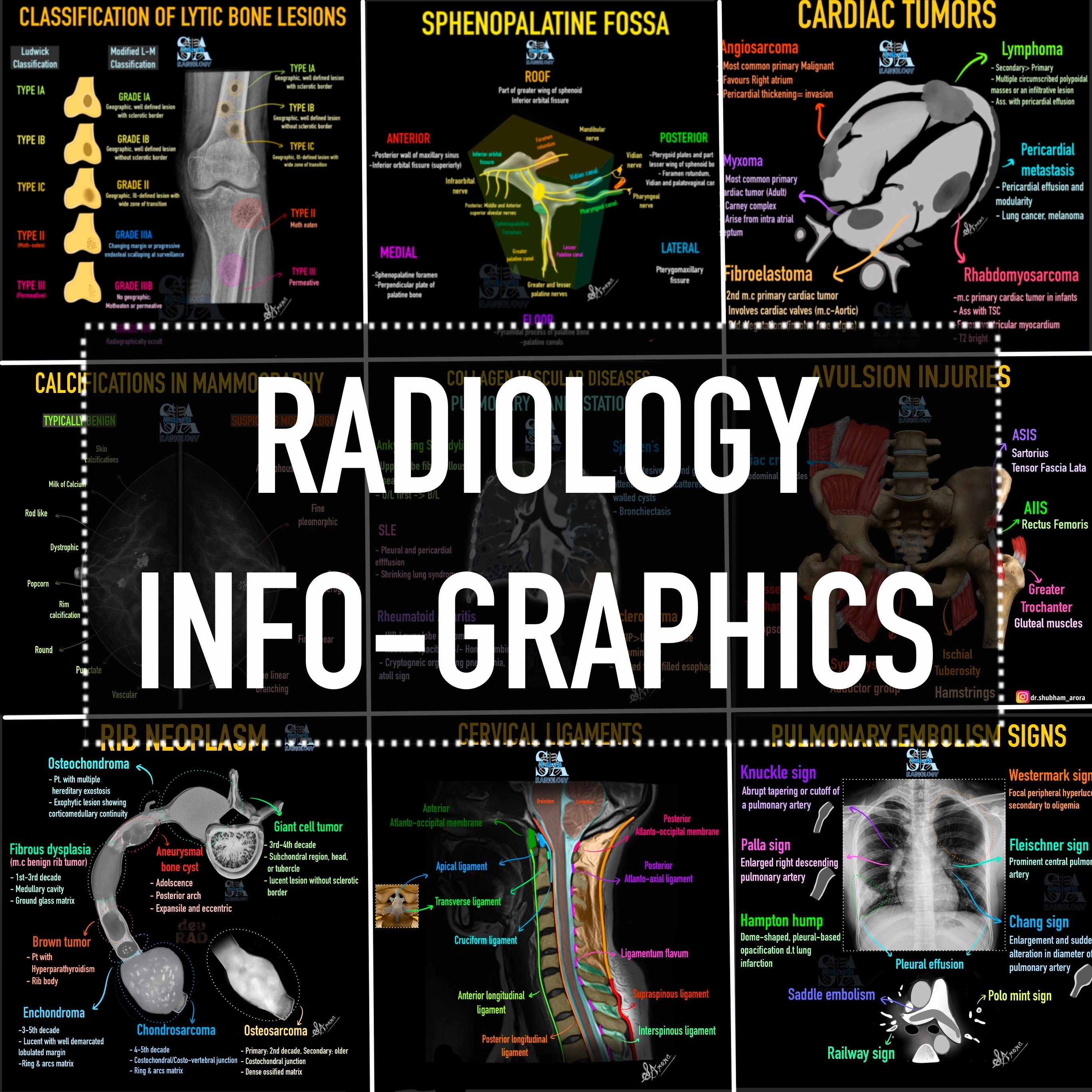 Radiology Illustration